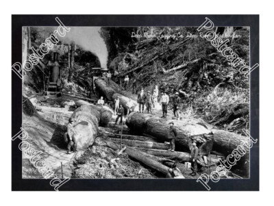 Historic Deep River Logging Co. - Deep River, Washington Train Postcard ...