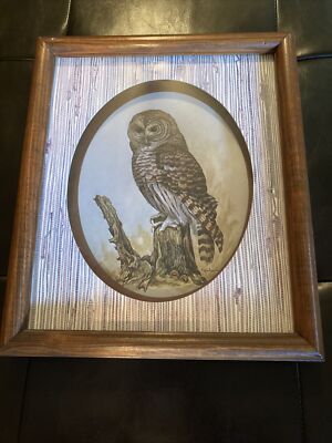 Vintage Rustic Owl Framed Art by Artist E. Rambow with Signature | eBay
