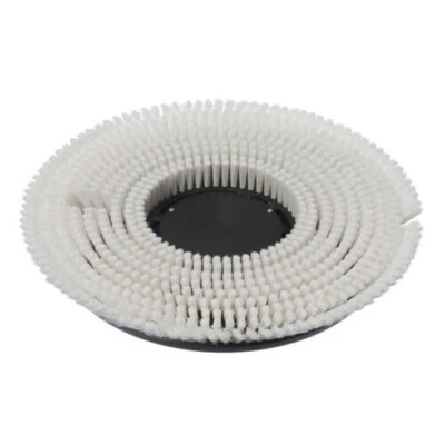 Taski CARPET SHAMPOO BRUSH 17' Ergo disc | Grelly USA