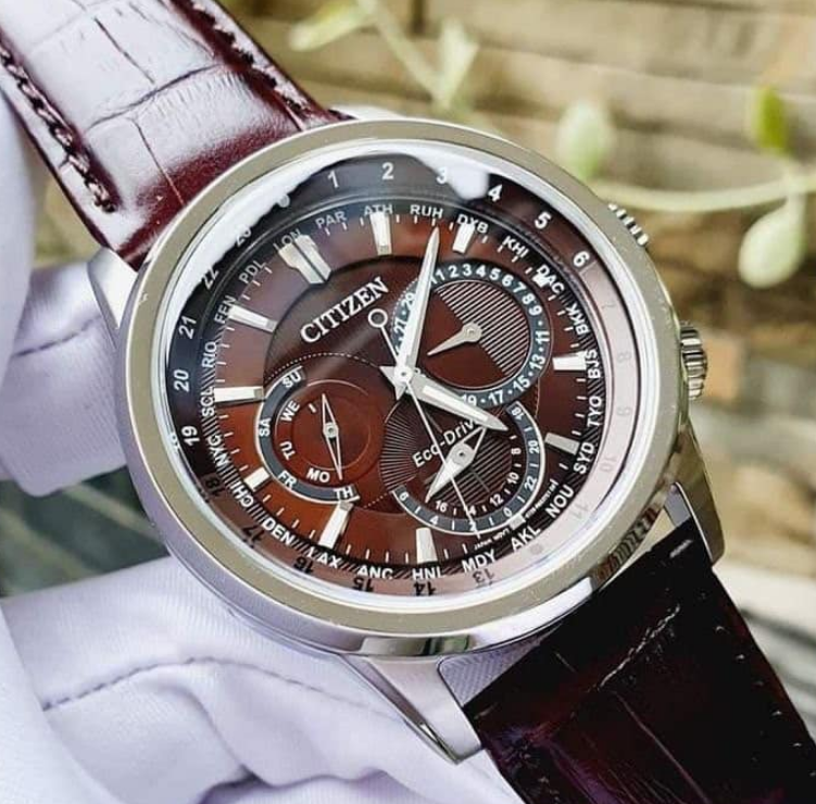 Citizen Calendrier BU2020-29X Brown Dial Stainless Steel Men's Eco ...