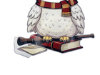 Harry Potter Hedwig Inspired Waterproof Car Decal Wall Poster Vinyl ...
