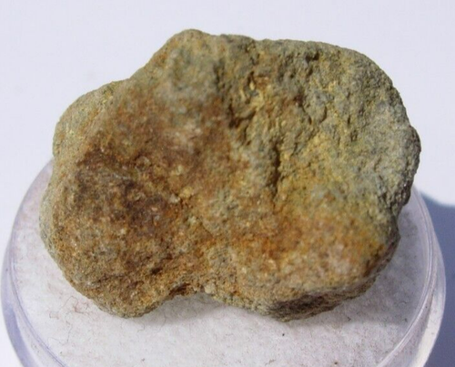 NWA 2828 Meteorite 6.99 grams (classified as EL-melt rock) with a COA ...