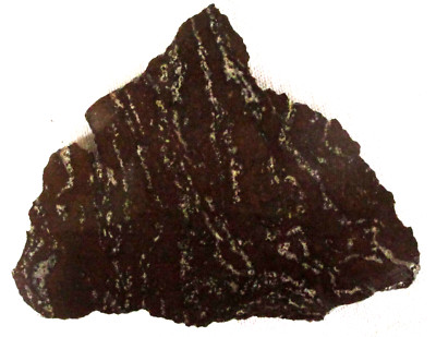 Fossilized Palm Root Slab - 150 Grams - Indonesia - Black - White | eBay