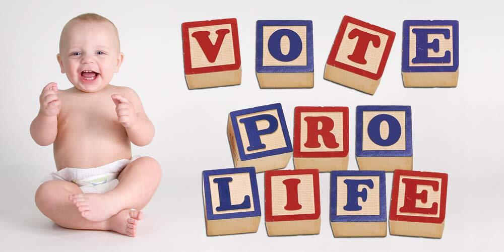 Vote Pro Life Pro-Life Vinyl Sign | eBay