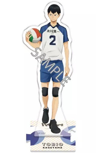 Acrylic Stand/Acrylic Panel Tobio Kageyama Memorable Scene Full Body ...