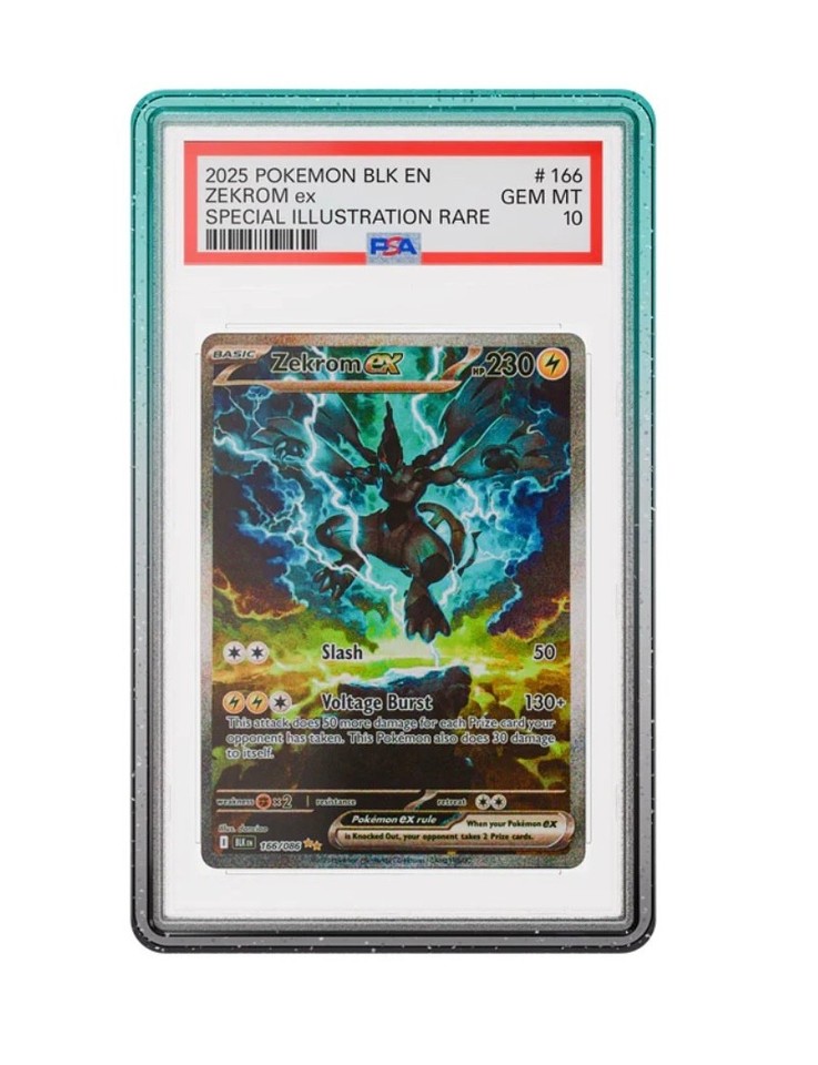 GradedGuard PSA Graded Card Case Guard Protector NEPTUNE Limited ...