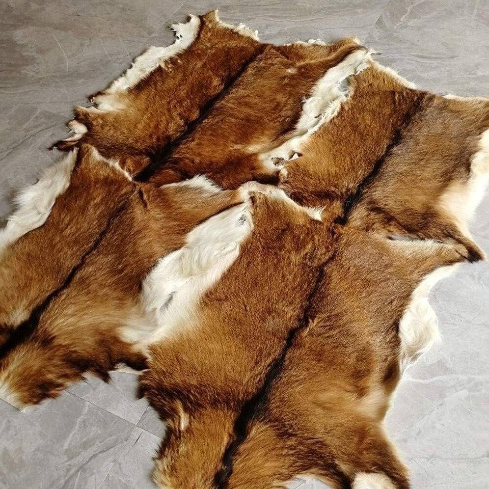 Real Deer Hide Rug Skin Leather Hide Deerskin Taxidermy Specimens ...