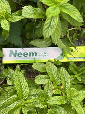 Neem Active 98%Natural Origin Total Care Toothpaste 200 gm | eBay
