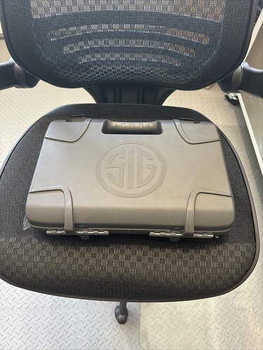 SIG Sauer Large Pistol Case 13” x 9” P320 P226 P229 SP2022 M17 M18 | eBay