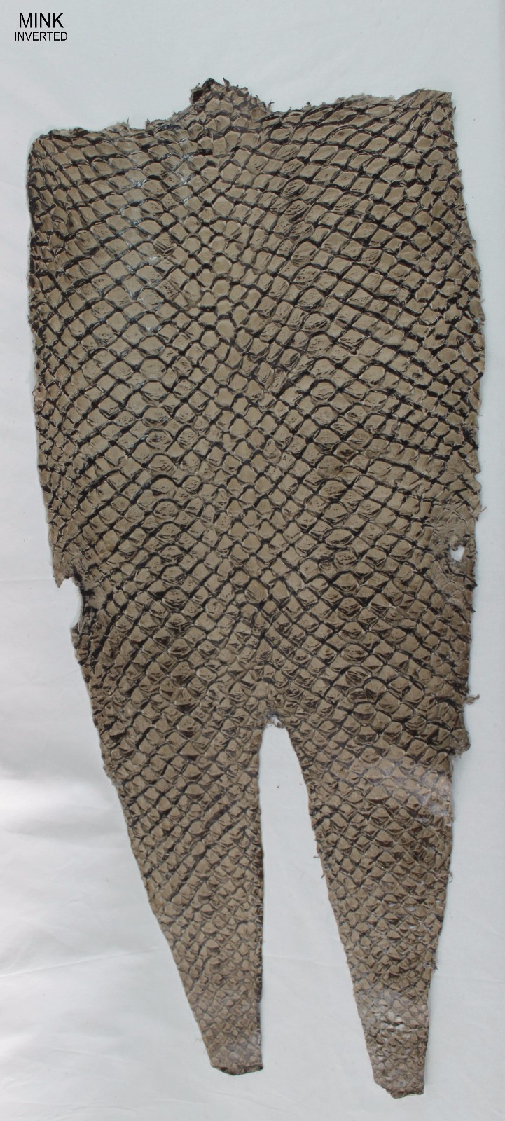 Pirarucu skin, Arapaima skin (INVERTED SCALES) 12 colors available see ...