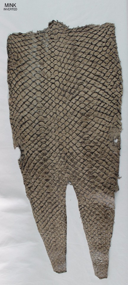 Pirarucu skin, Arapaima skin (INVERTED SCALES) 12 colors available see ...