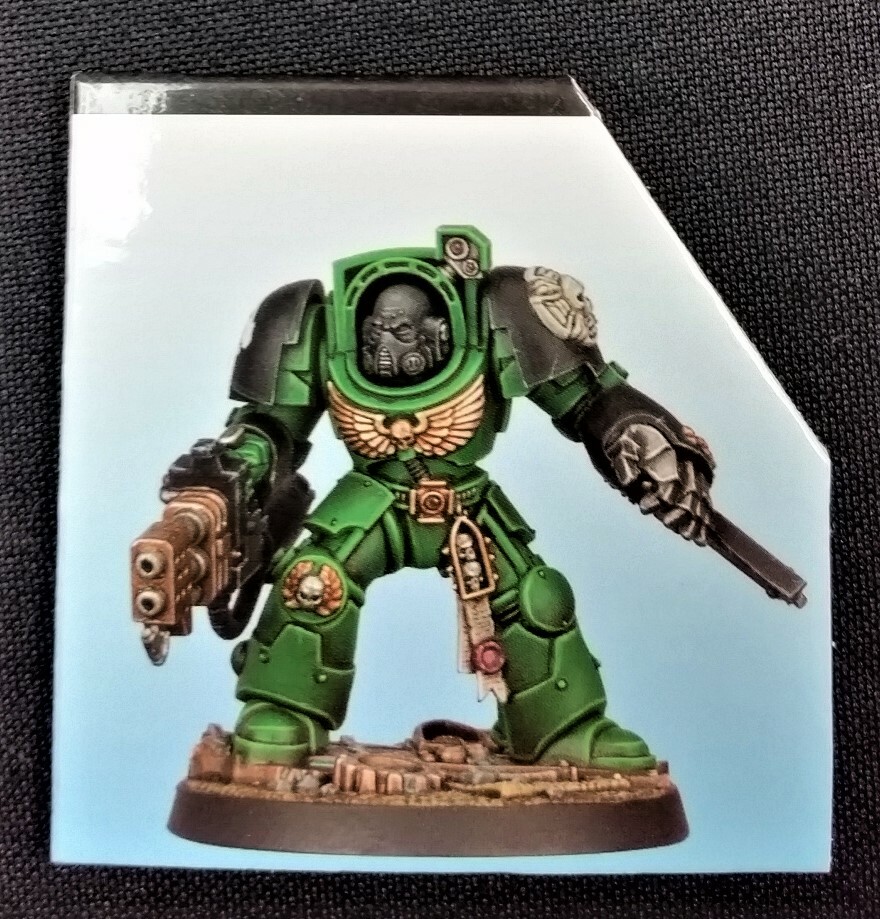 Salamander Terminator
