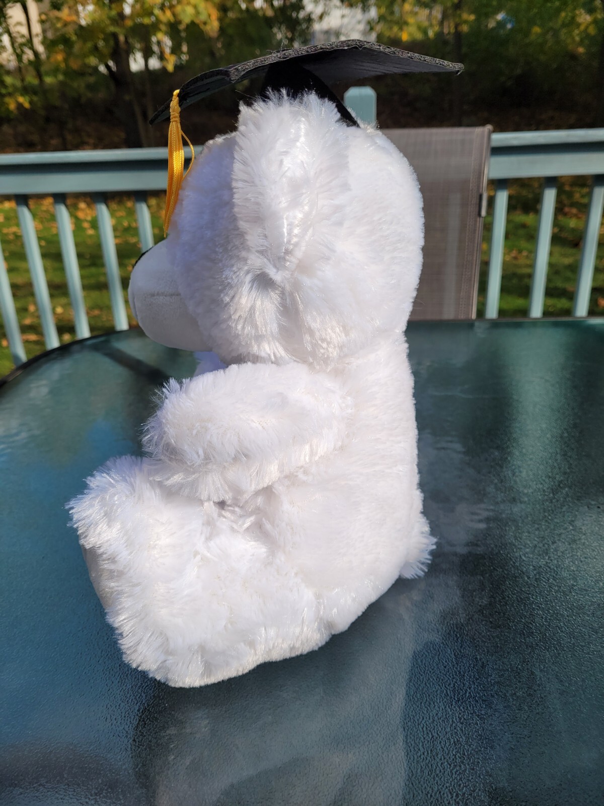 Teddy Bear Plush Stuffed Animal 11'' White Black Hat Graduation Dandee ...