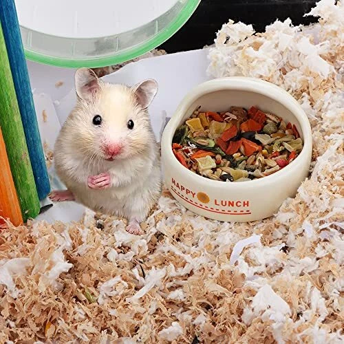 Hamster Food Bowl