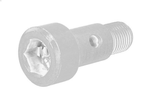 Hohlschraube, Lader OE PEUGEOT 037655 für CITROEN DS5 2.0 2011-2015 | eBay