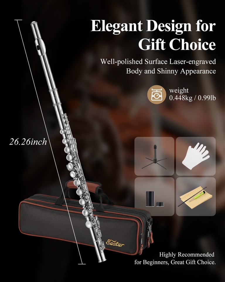🎵Eastar CONCERT FLUTE WITH CASE STAND STUDENT / INTERMEDIATE SCHOOL ...