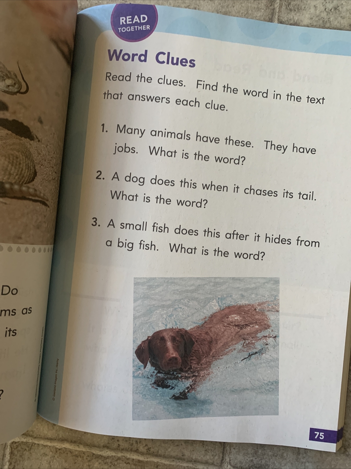 Into Reading Ser.: Into Reading : Start Right Reader Grade 1 by ...