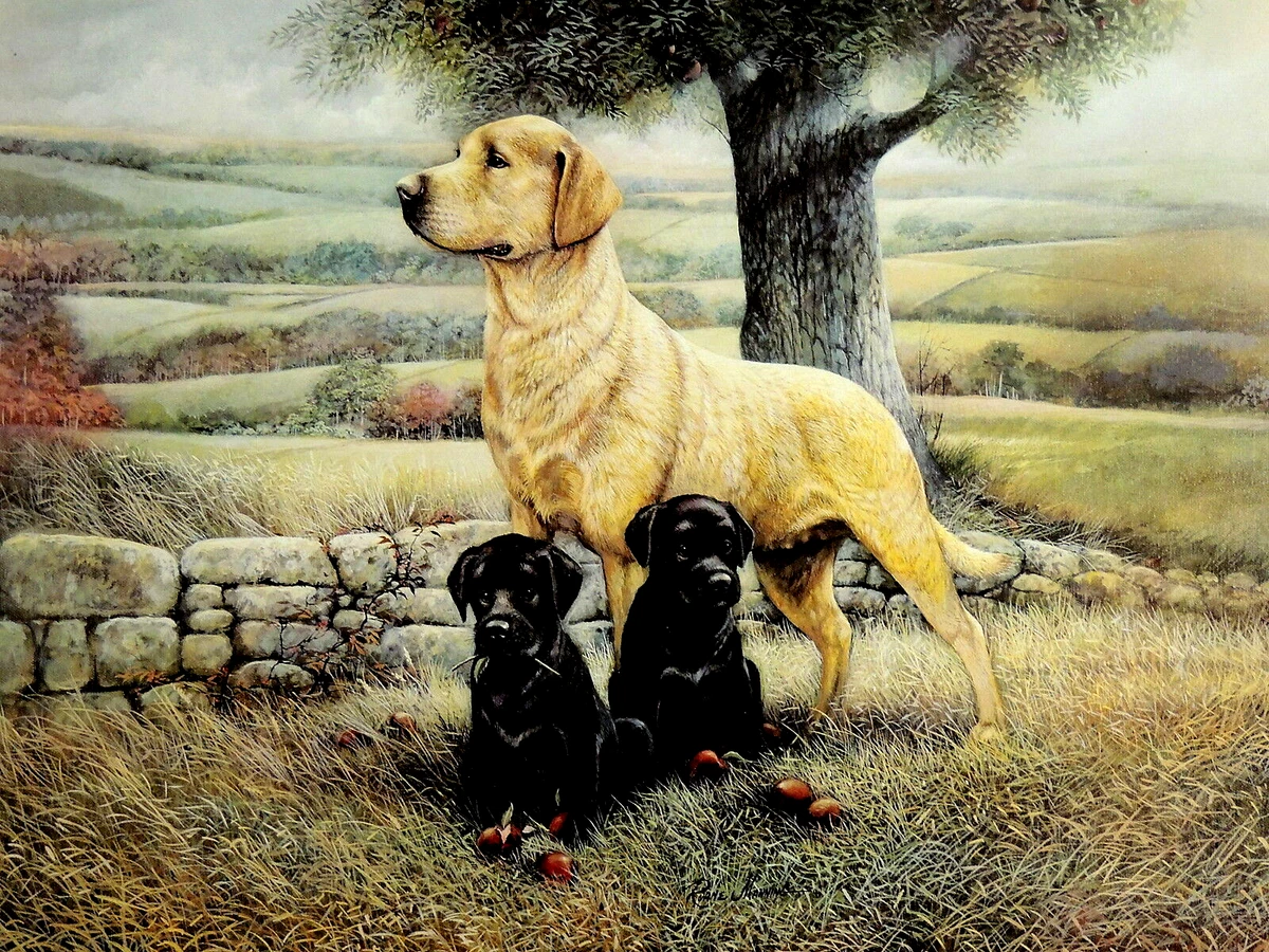 Yellow Lab Hunting Painting