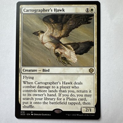 MTG Cartographer's Hawk - Starter Commander Decks SCD NM | eBay