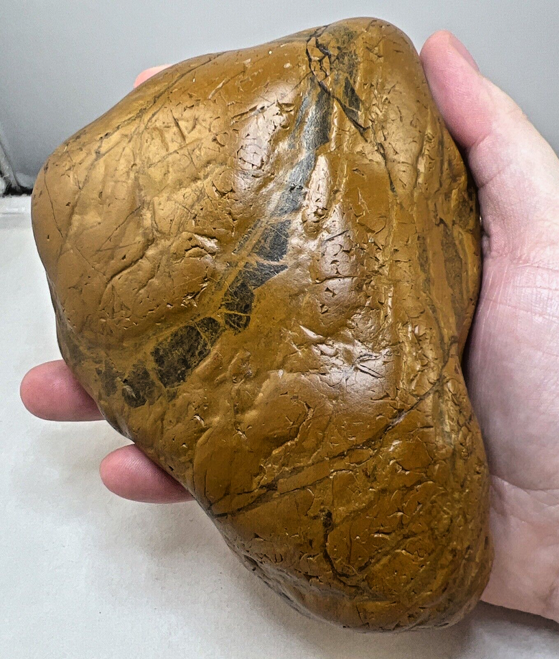 Yellow Jasper WYO Banded Iron Tiger Ironstone GENESIS Mormon Seer Stone ...