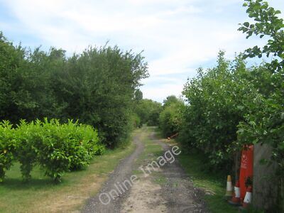 Photo 6x4 Footpath near houseboat gardens on River Stour Sandwich The ...