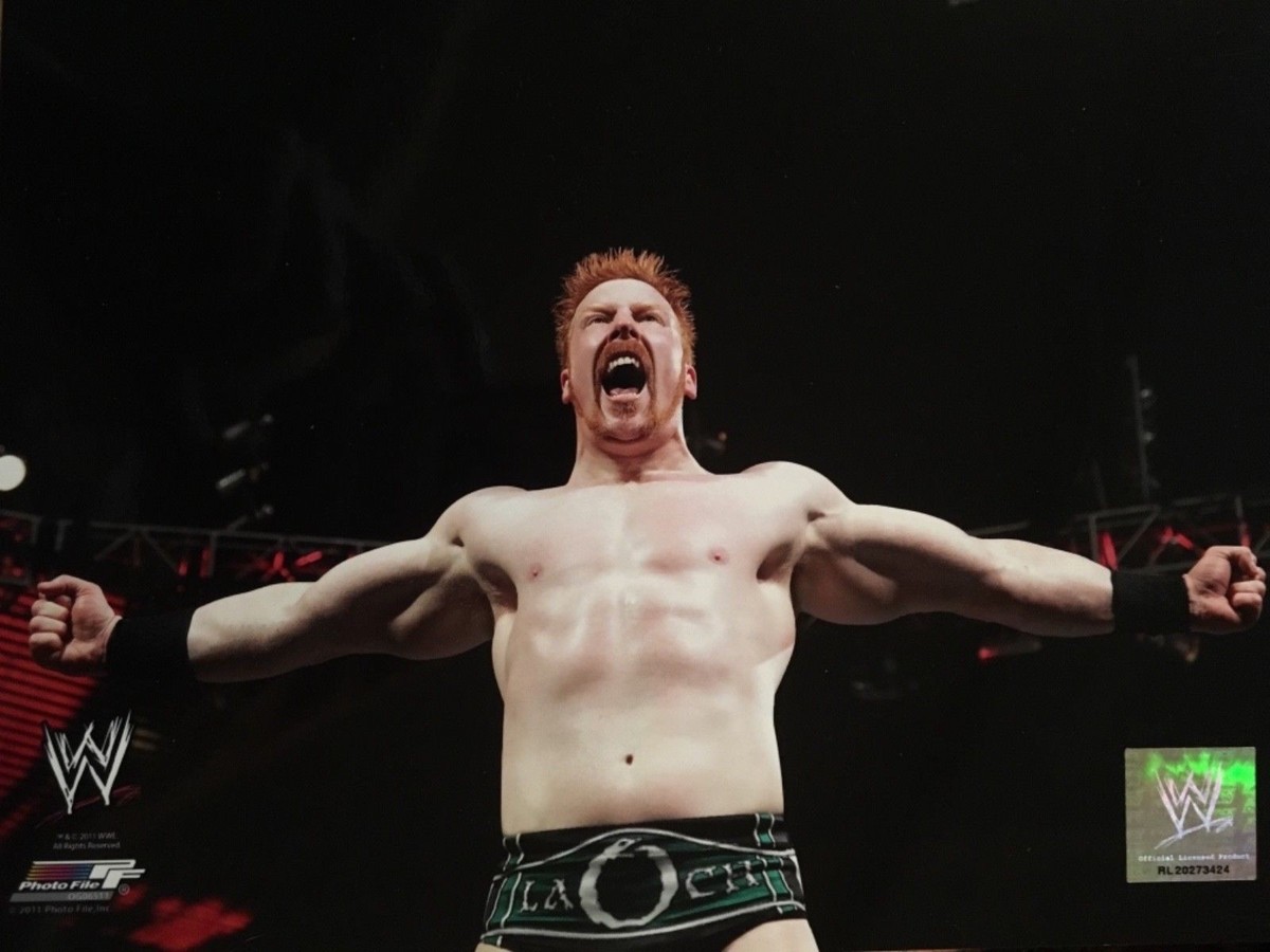 Sheamus, Wwe Champion Former WWE Champion Seemingly Confirms Original