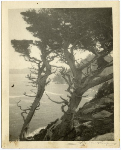 Signed Leopold Hugo Pictorialist MONTEREY Coast Orig. 1900s CALIFORNIA ...