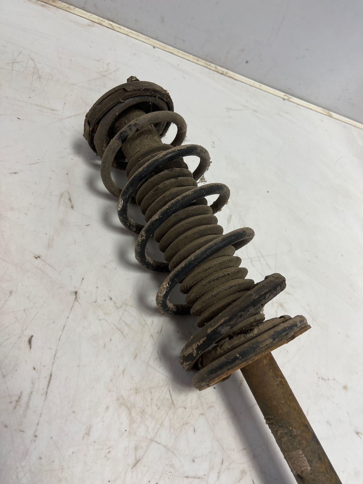 Strut Rear Sedan 2.3l 4 Lug Fits 98-02 Honda Accord OEM for sale online ...