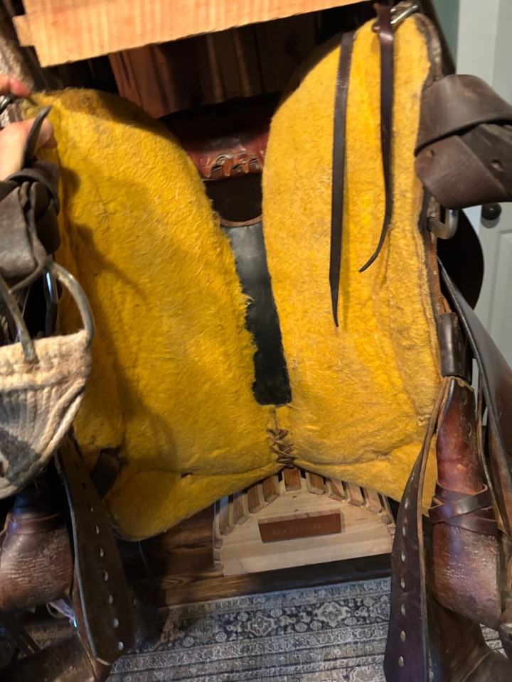 Ralph Shimon Saddle | eBay