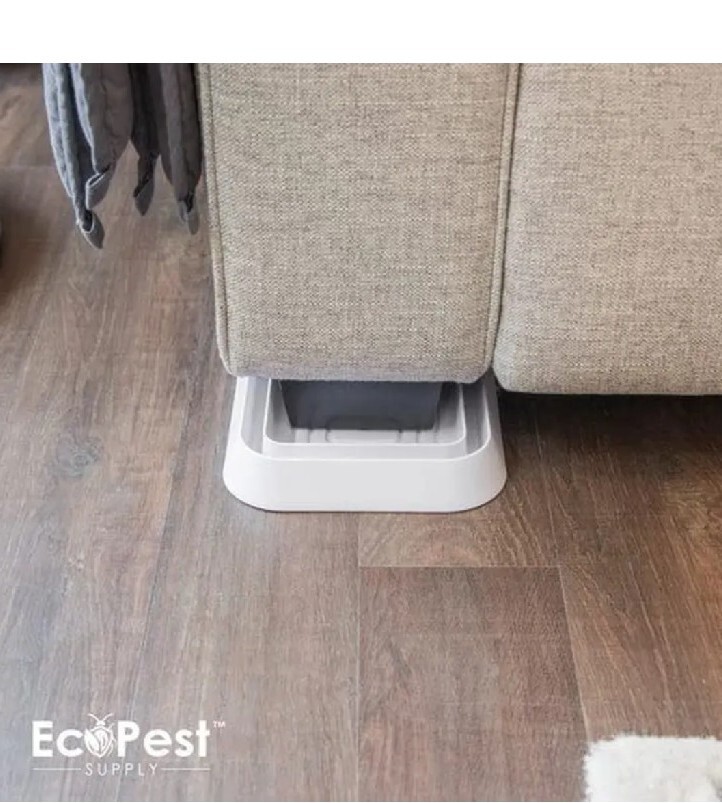 Bed Bug Interceptors – 4 Pack | Bed Bug Blocker (XL) Interceptor Traps ...