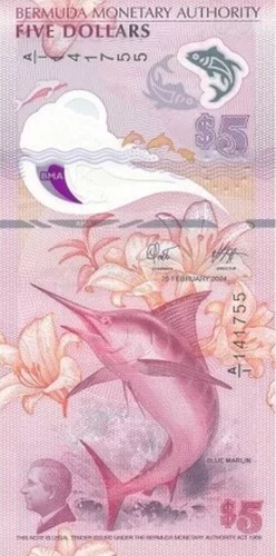 Bermuda 5 Dollar banknote. 5 dollars Bermudian UNC bill. Bermudan ...