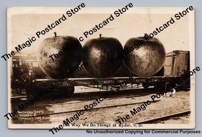 Giant Apples on NPRR Train Cars RPPC Ryder North Dakota Exaggeration ...