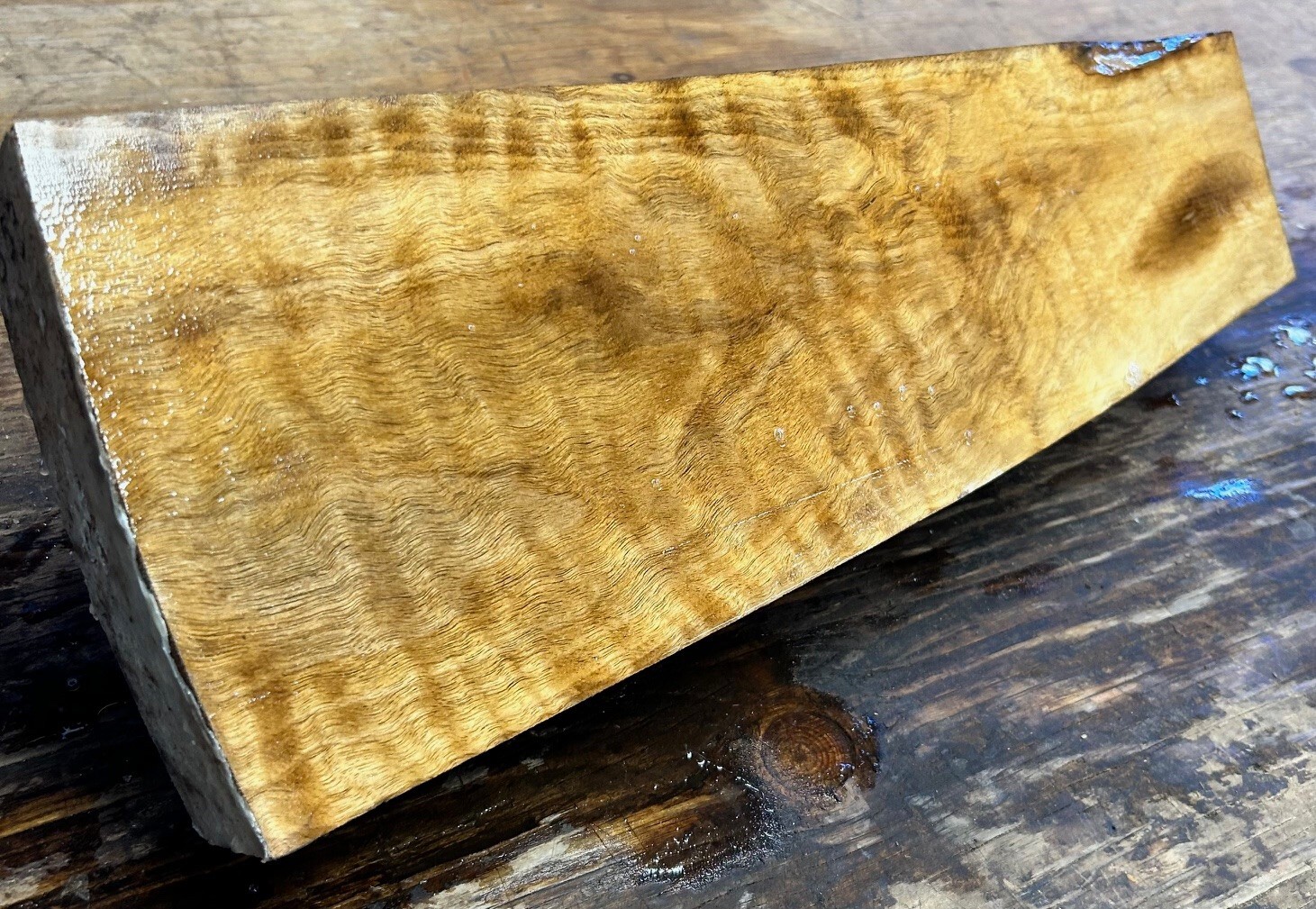 TIGER STRIPE QUILTED English Walnut Gunstock Stock Blank Shotgun 553 | eBay