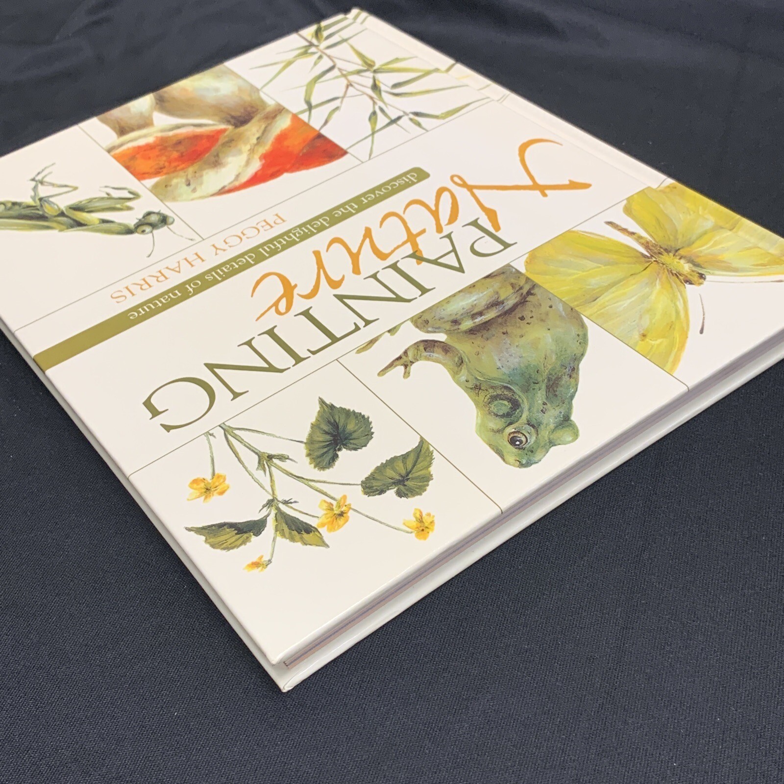 Painting Nature with Peggy Harris by Peggy Harris (2005, Hardcover) for ...