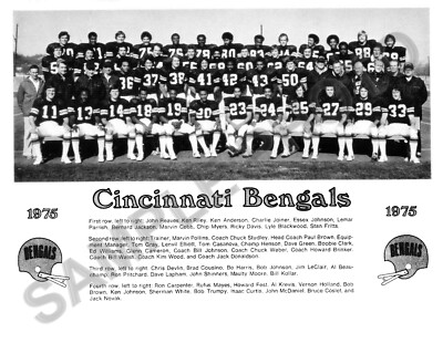 1975 CINCINNATI BENGALS 8X10 TEAM PHOTO PICTURE | eBay