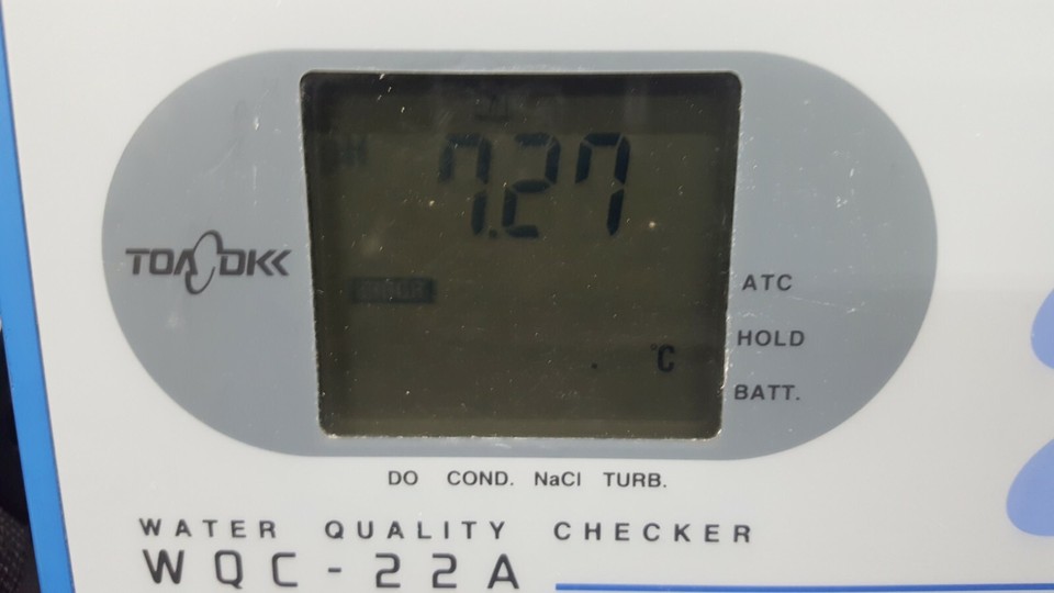 DKK.TOA WQC-22A : Water Quality checker(Q) | eBay