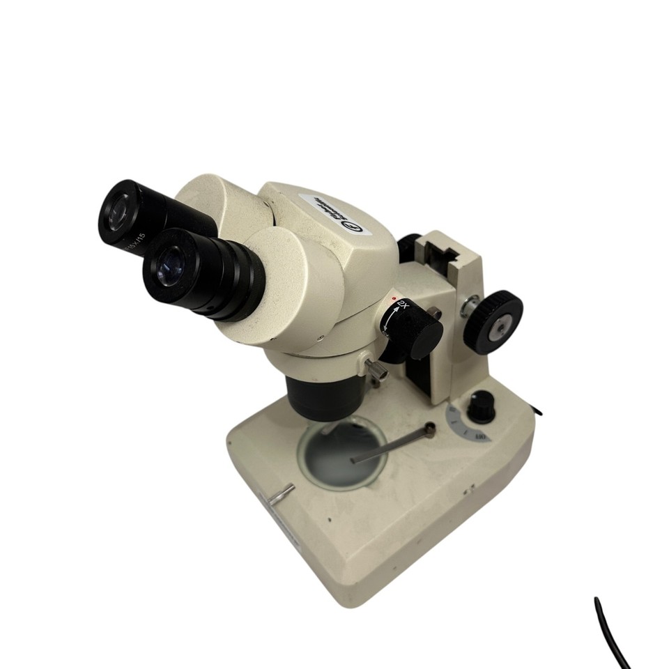 Fisher Scientific Stereomaster Stereo Microscope 10x WF Eyepieces Dual ...