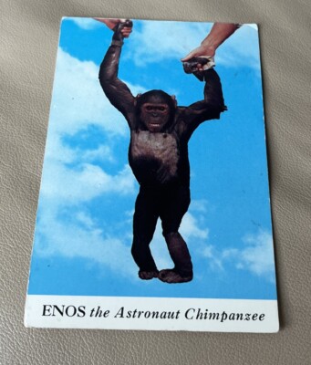 ENOS THE ASTRONAUT CHIMPANZEE Returned Safely After SPACE Voyage ...