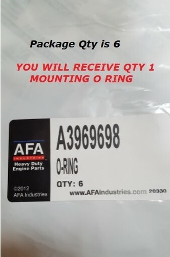 Seal Oring 3969698 Cummins 6BT 5.9L Bosch P7100 Pump Inline W/ (2 ...