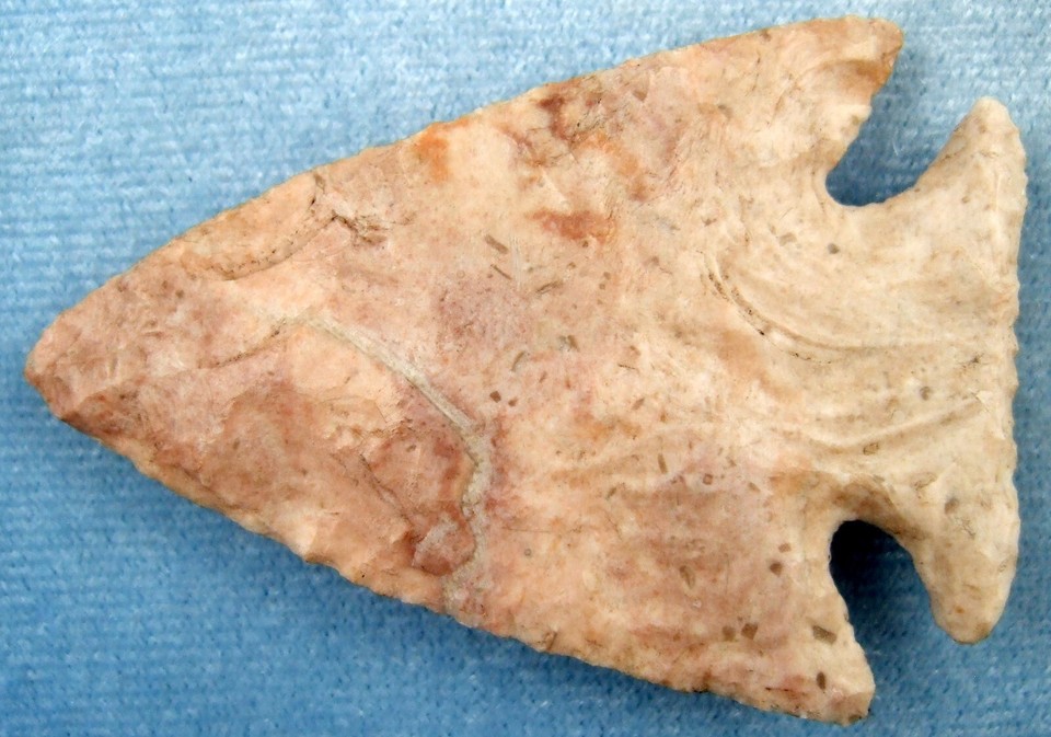 MW Fine Old Authentic Grade 10 Missouri Pine Tree Point with COA ...