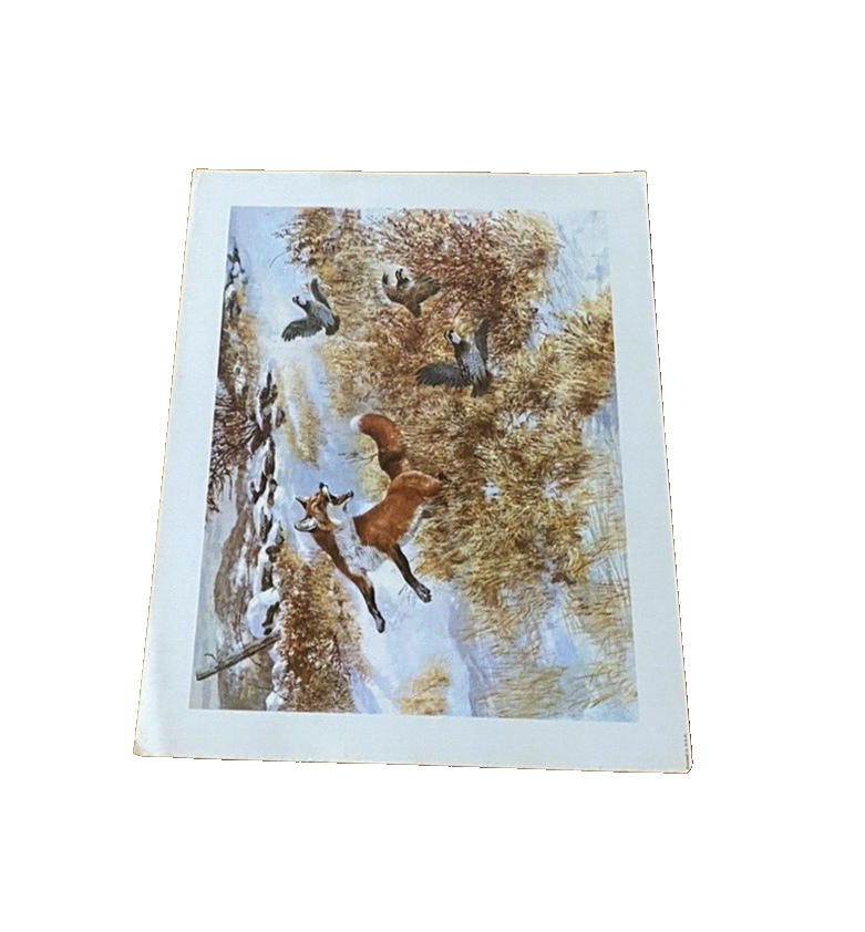 Fox Chasing Three Birds Scene Original Art Print Poster 14"X 11" | eBay