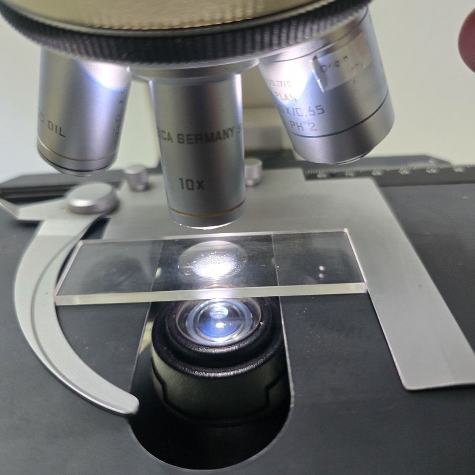 Leica DM LS Phase Contrast Microscope w/ 10x, 40x & Dual 100x ...