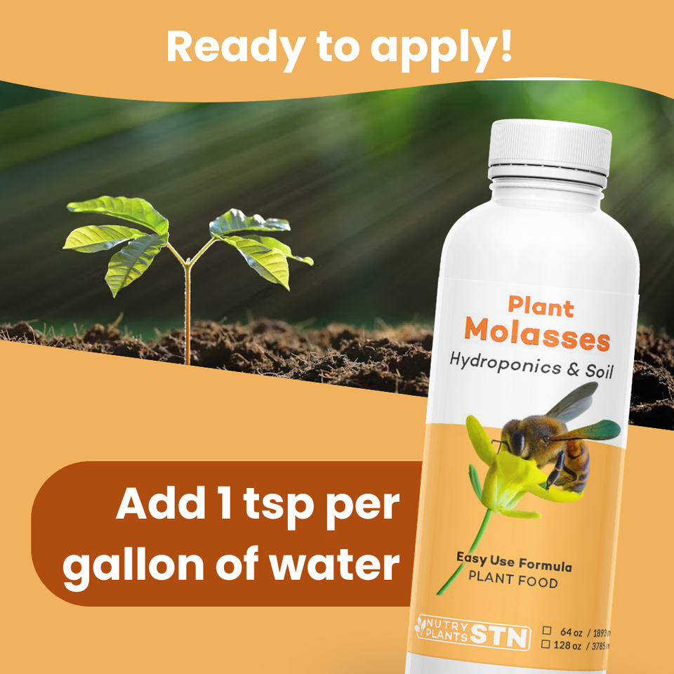 Liquid Molasses Horticultural Plant Food Hydroponics and Soil 32 oz | eBay