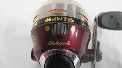 Spinning - Shakespeare Mantis