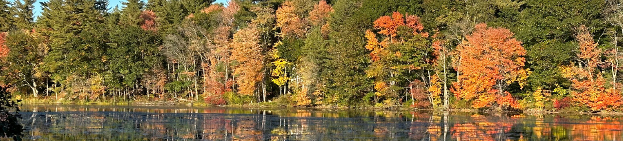 Chair City Marketplace | eBay Stores