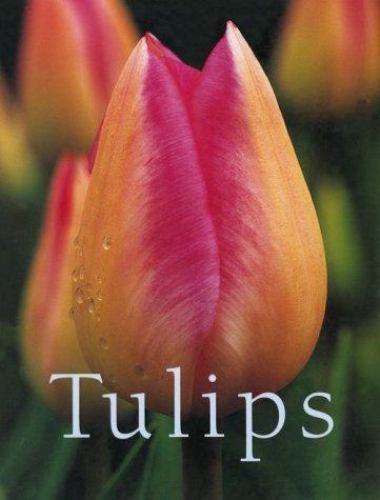 Tulips by Scott D. Appell (1999, Hardcover) for sale online | eBay