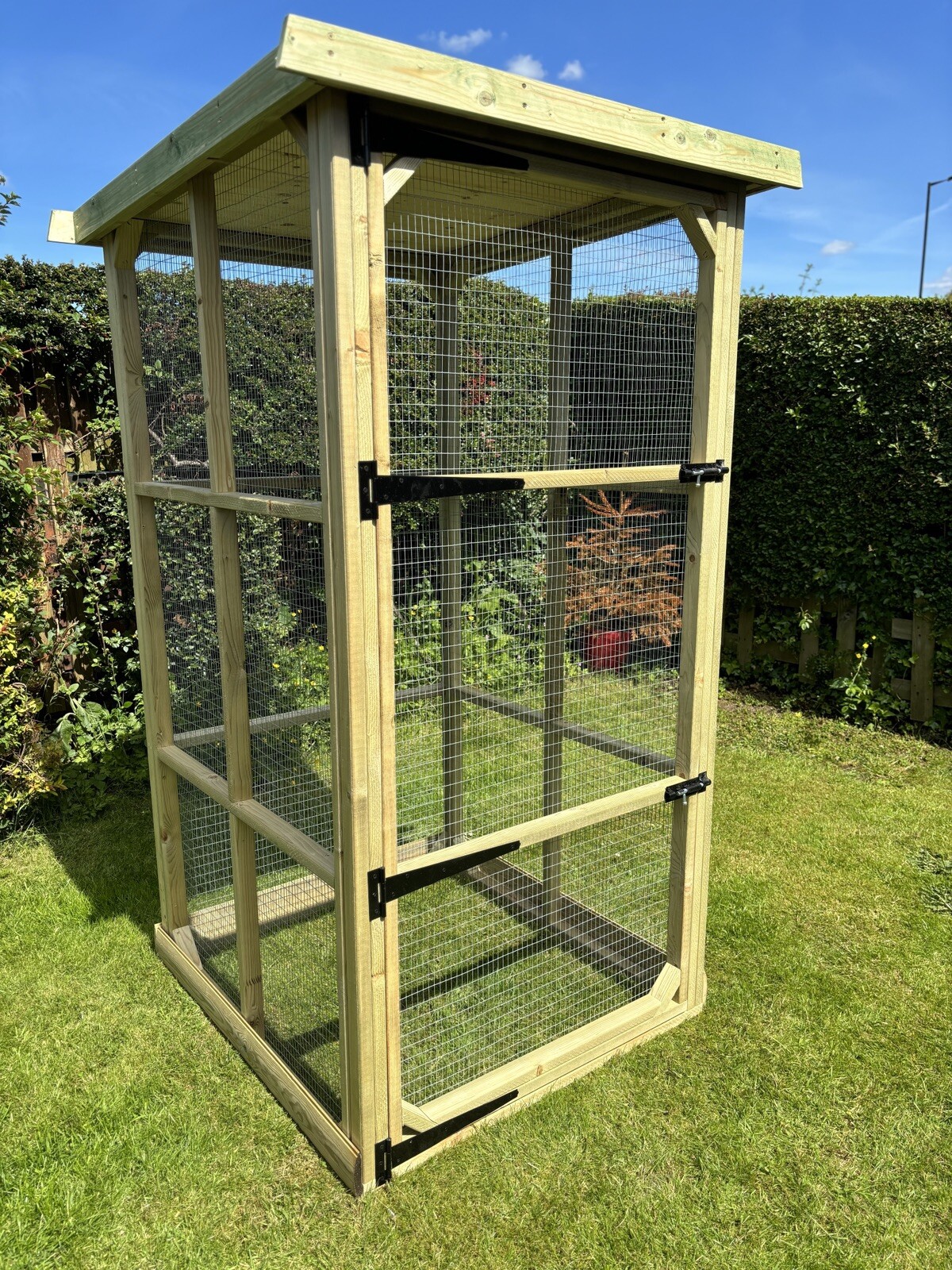 TANALISED Walk in Bird Aviary Rabbit Run Catio 6ftx X 3ft X 4ft COULD ...