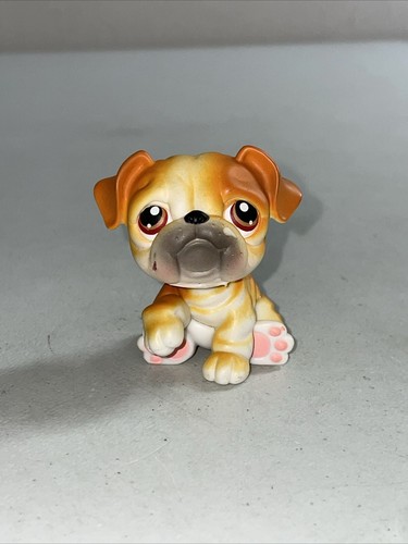 Littlest Pet Shop LPS Hasbro Figure -- #46 Orange Tan Bulldog w/ Raised ...