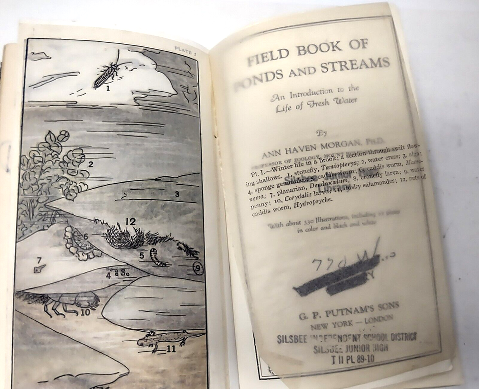 Putnam Field Book Of Ponds And Streams Ann Haven Morgan Sixteenth ...