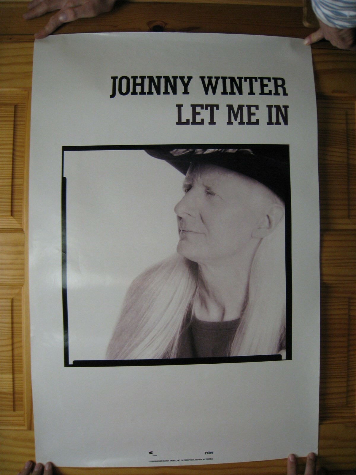 Johnny Winter Poster Let Me In | eBay